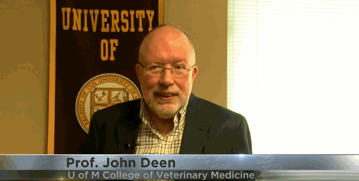 UMN swine faculty interviewed on African swine fever – Swine in Minnesota