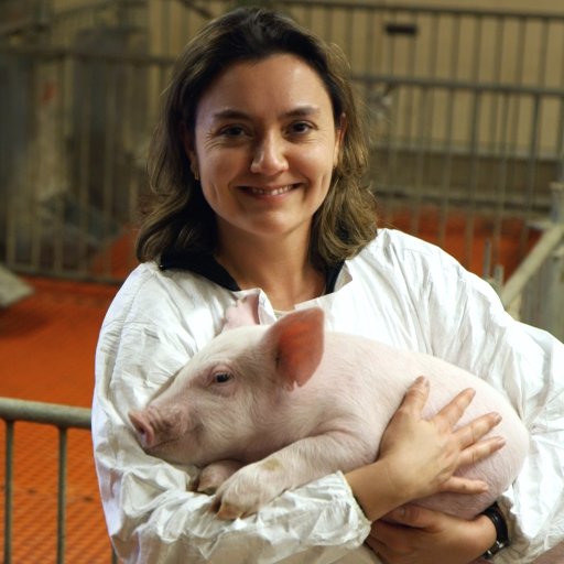 USDA NIFA awards Food Animal researchers more than $2.7 million – Swine ...