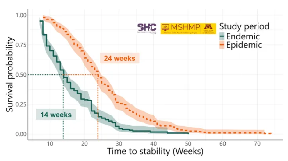 PEDV: Sow herds are eliminating the virus faster – Swine in Minnesota