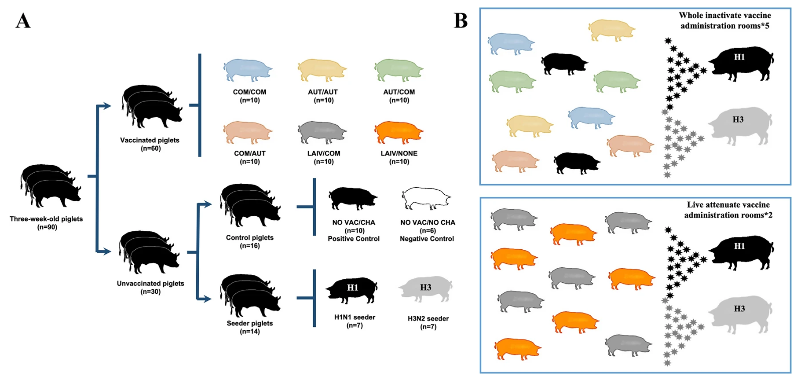 Quantifying the impact of vaccination on transmission and diversity of ...